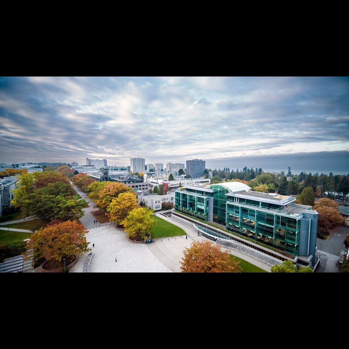 UBC Visual Journalism 2024